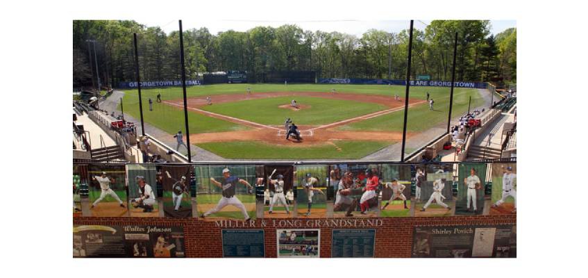 Bethesda Big Train Baseball Game - 3rd Annual Link Generations Picnic ...