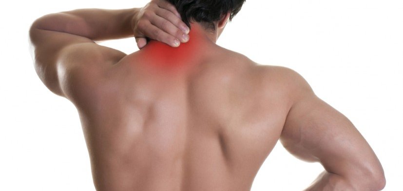 Neck and back injuries explained. | Gama Law Firm LLC